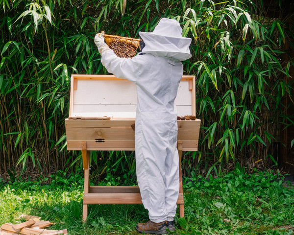 Honeybee Farm | Tree City Bee Company